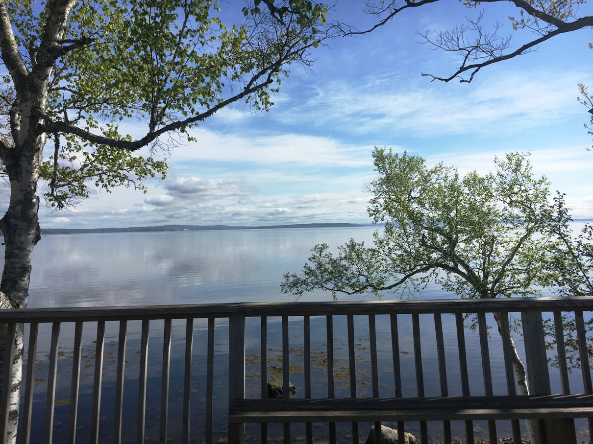 Catbird Cottage | Waterfront 4BR Rental Northport ME | Bayside Cottage ...